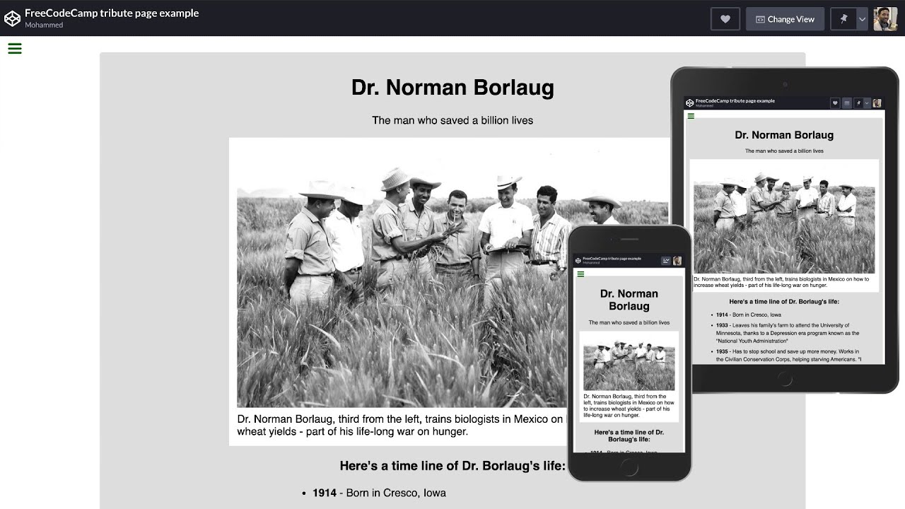 Build A Freecodecamp Tribute Page Responsive Web Design Projects By Using Only Html And Css